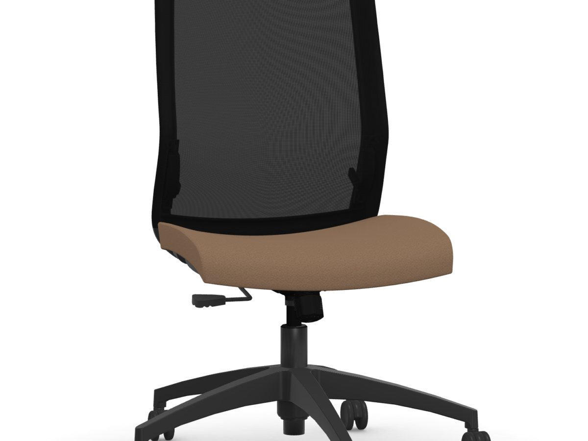 Ergonomic Office Chair Armless Mesh Back Task Chair Mid Back Office Chair Multiple Colors Available
