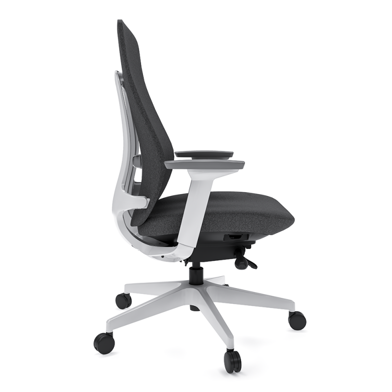 Ergi Ergonomic Executive Office Chair | Adjustable Contoured Back ...