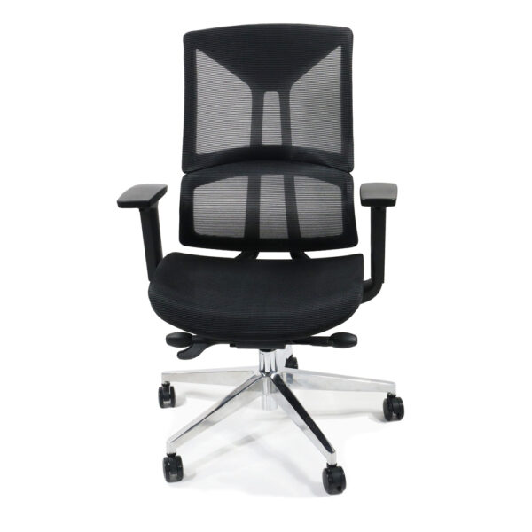 Ame Ergonomic Executive Office Chair | Mesh Back And Seat | Split Back ...