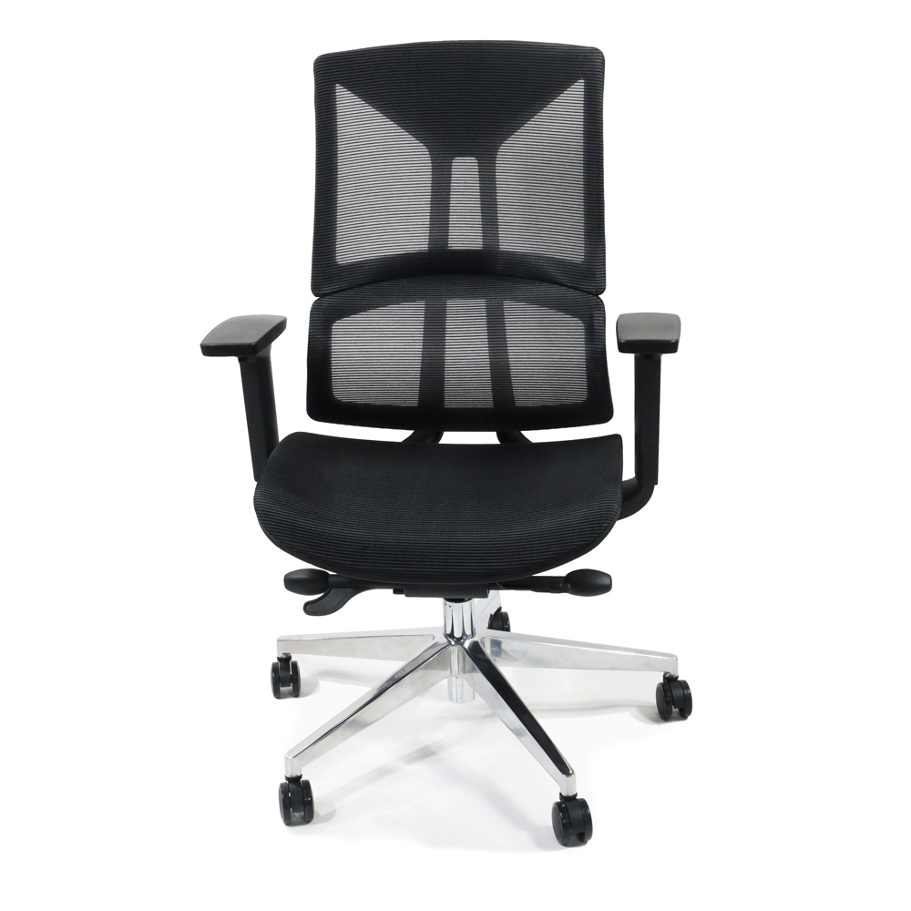 Ame Ergonomic Executive Office Chair | Mesh Back And Seat | Split Back ...